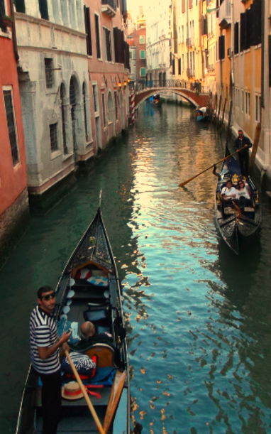 Catalog For Change – Traders State of Mind