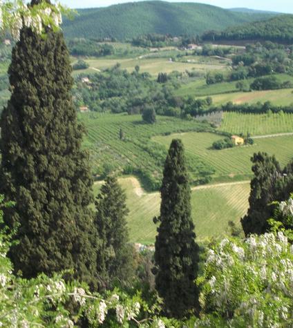 Catalog For Change – Traders State of Mind